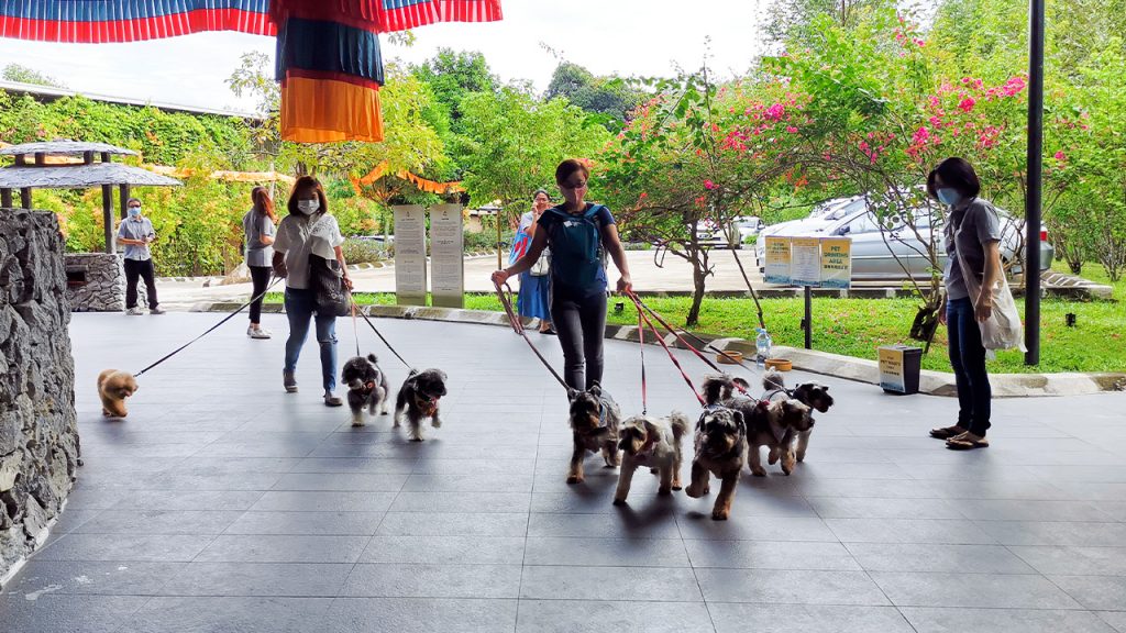 Pets Day Out - Kechara Forest Retreat