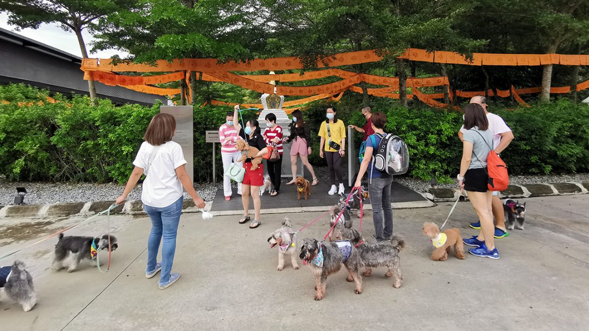 Pets Day Out - Kechara Forest Retreat