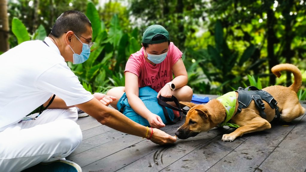 Pets Day Out - Kechara Forest Retreat